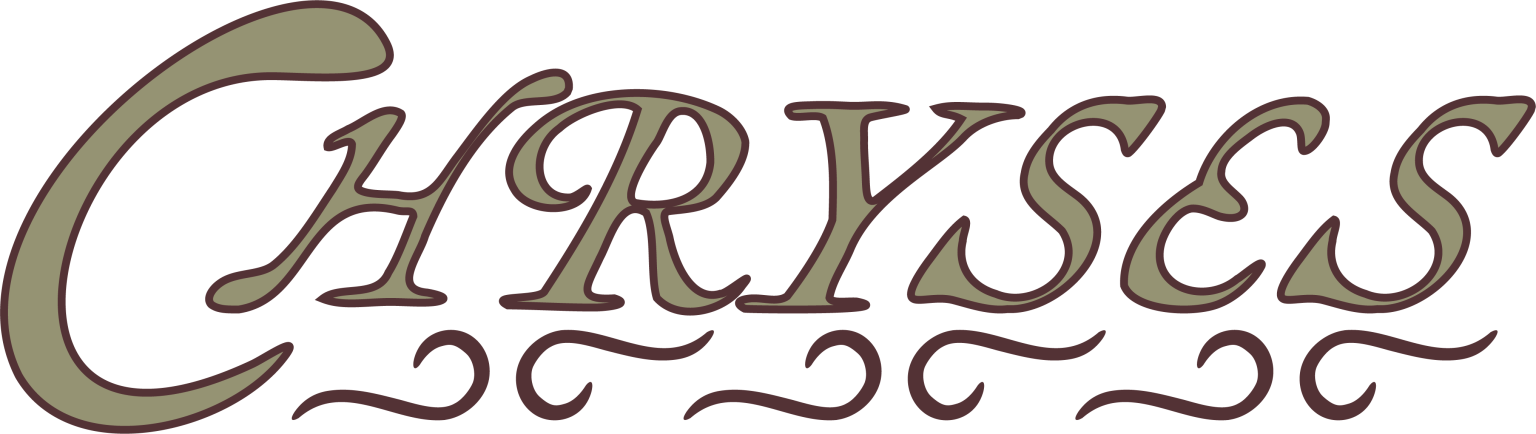 CHRYSES: Mapping Environmental Health Crises – Public Understanding ...